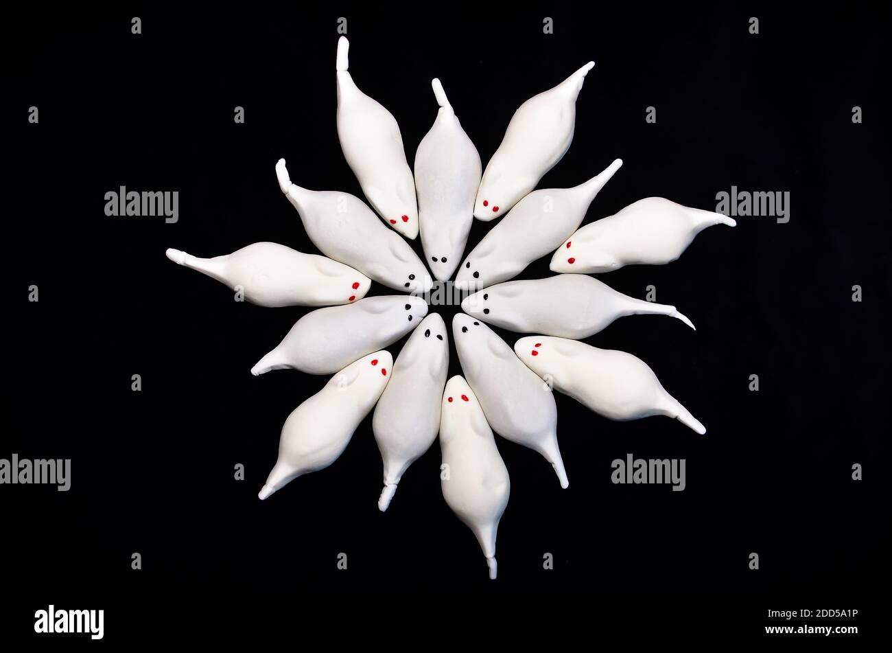 Sweet white mice from marschmallow, foamy sugar, flat layed in form of ...