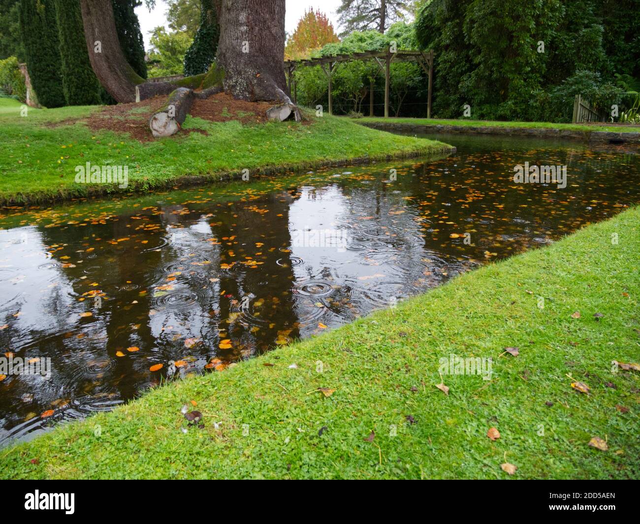 Bickton Park Botanical Gardens, East Devon, UK. Beautiful structured ...