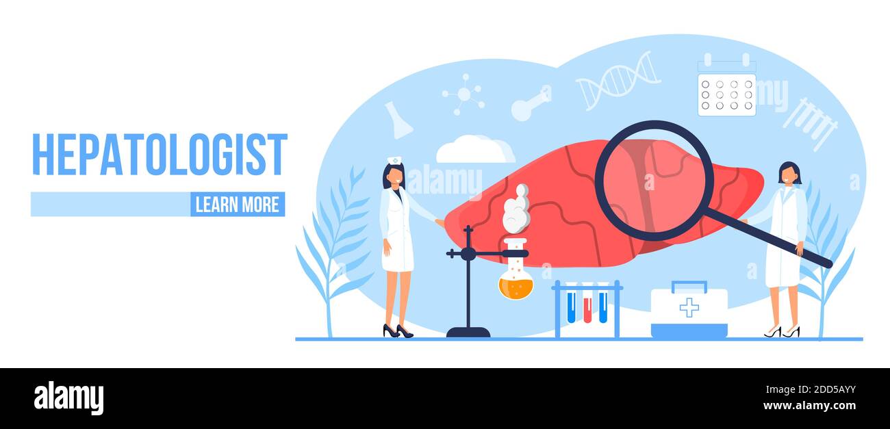 Hepatologist concept vector for medical landing page. Hepatitis A, B, C ...