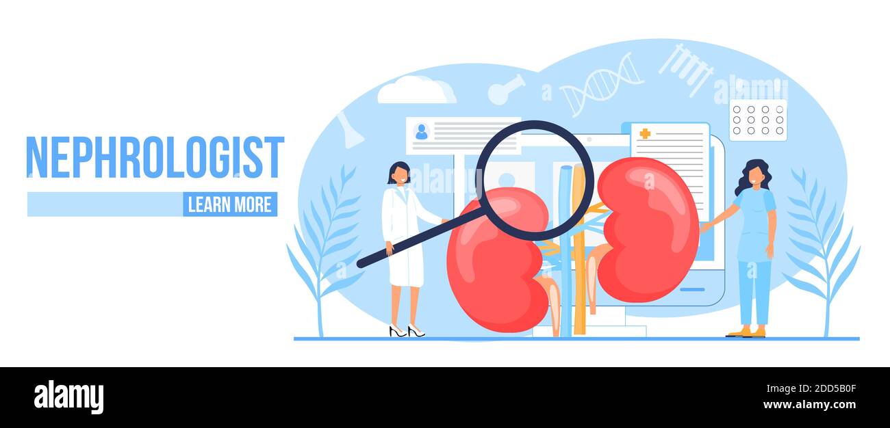 Nephropathy concept vector. Tiny doctors treat kidneys. Pyelonephritis and kidney stones ...