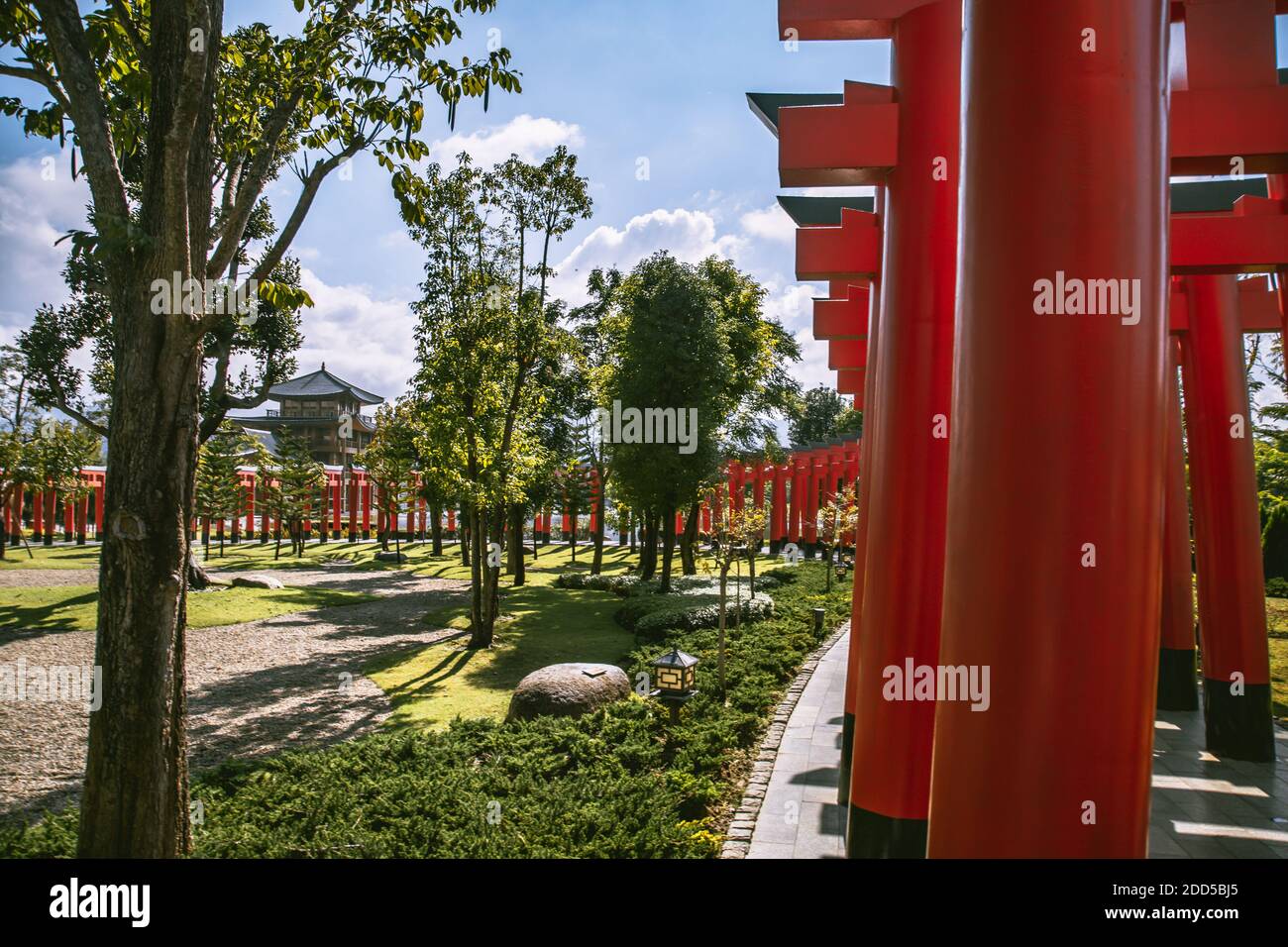 Hinoki land japan attraction in Chai Prakan District, Chiang Mai, Thailand Stock Photo - Alamy