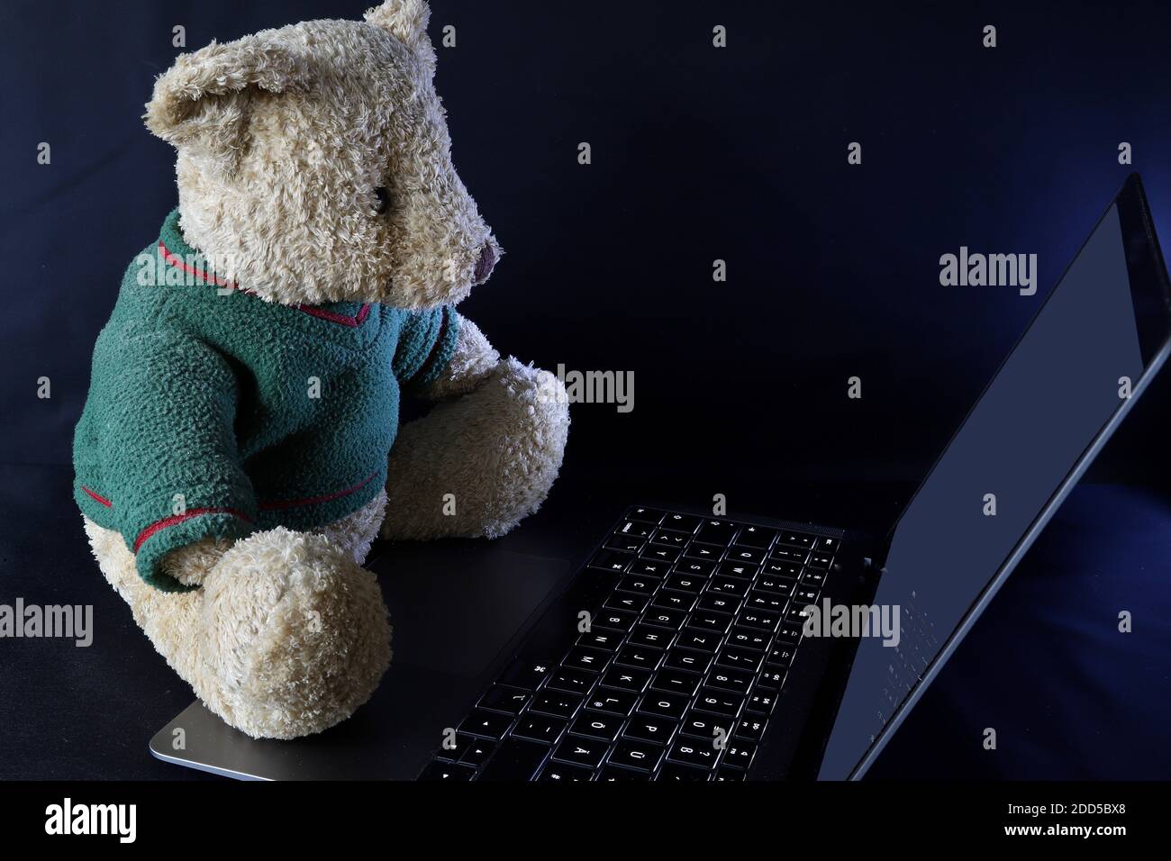 teddy bear sitting on laptop Stock Photo - Alamy