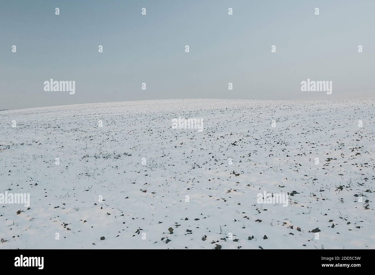 Winter wheat covered in frost hi-res stock photography and images - Alamy