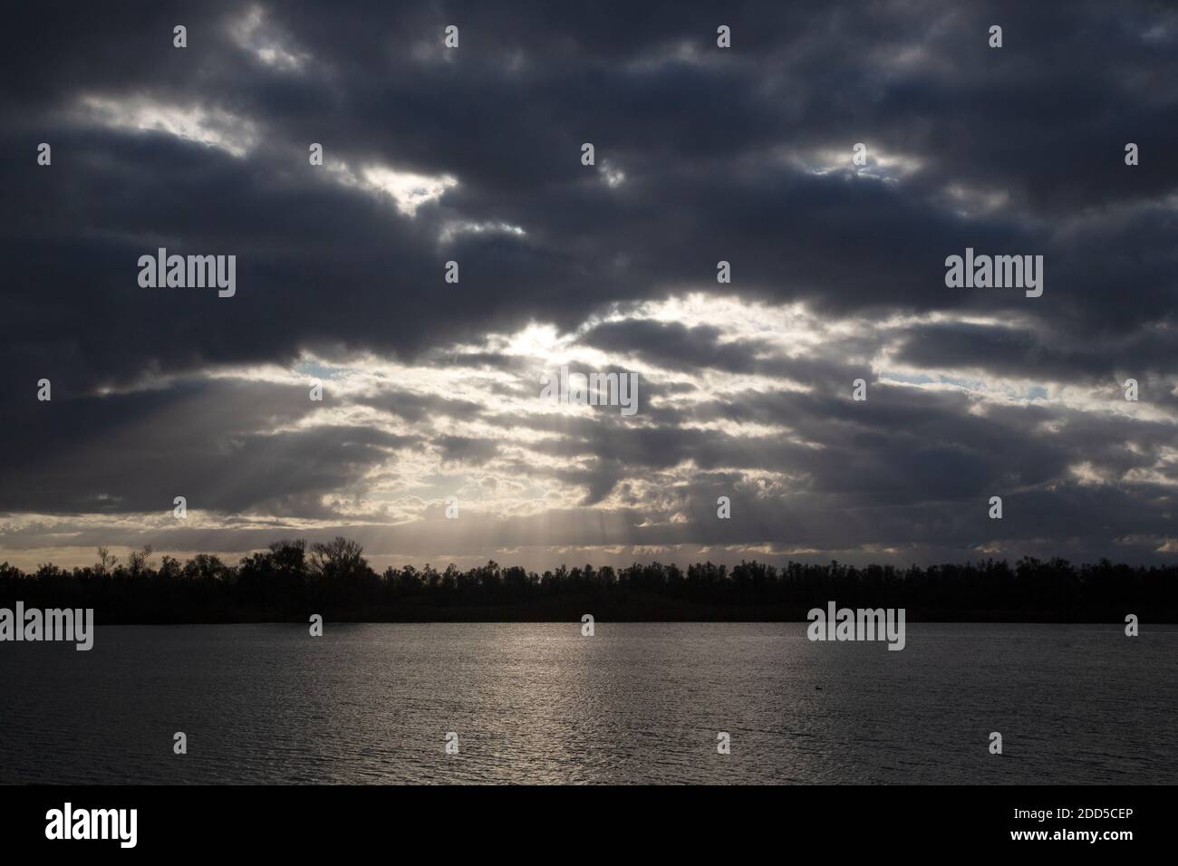 Rays of sun through dark clouds; Biesbosch National Park, North Brabant ...