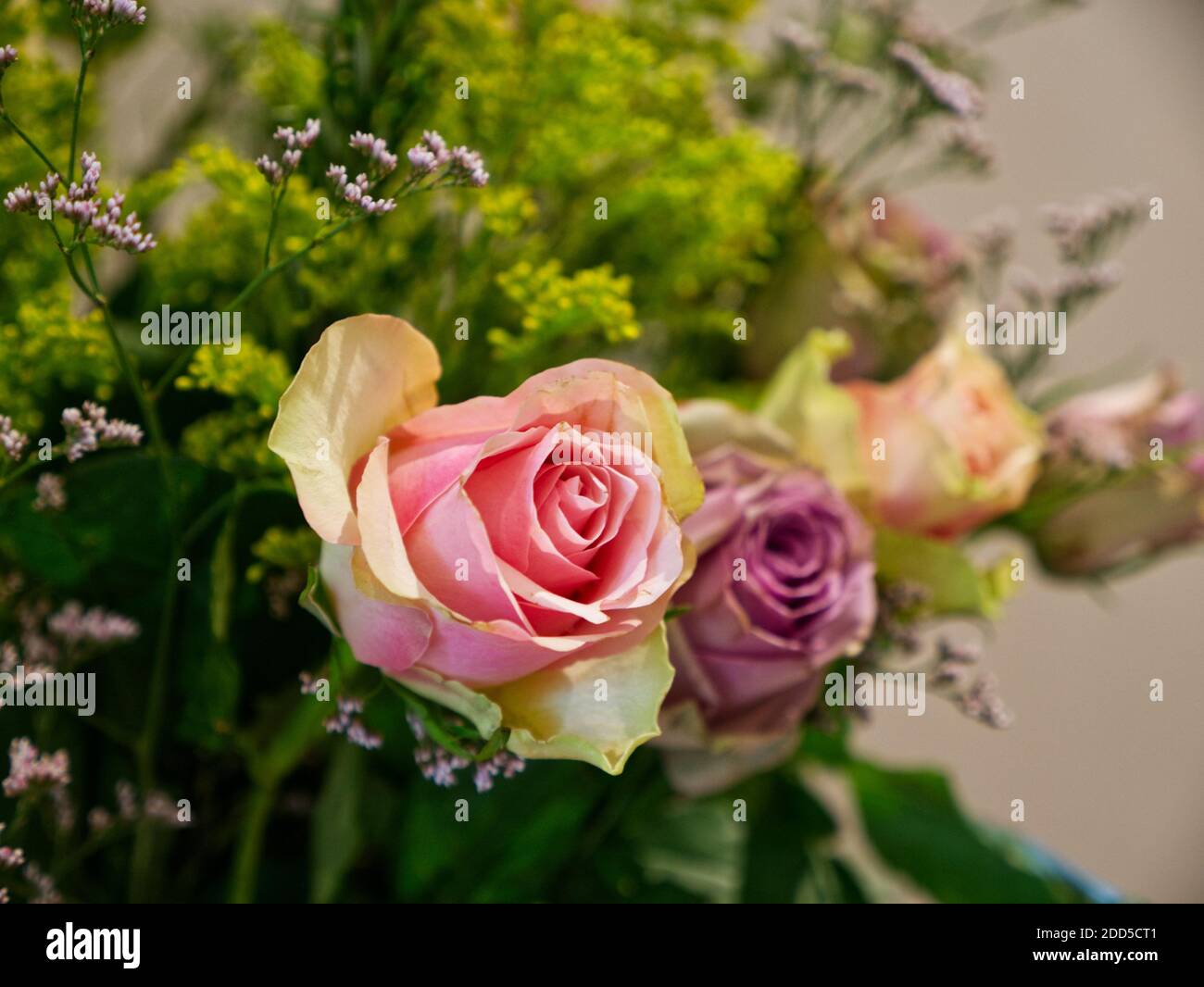 Dusky rose pink flowers hi-res stock photography and images - Alamy