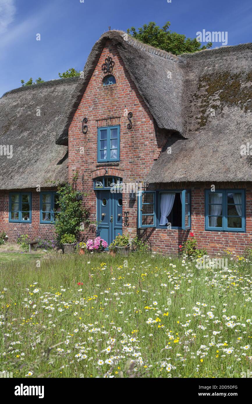 Sylt morsum hi-res stock photography and images - Alamy