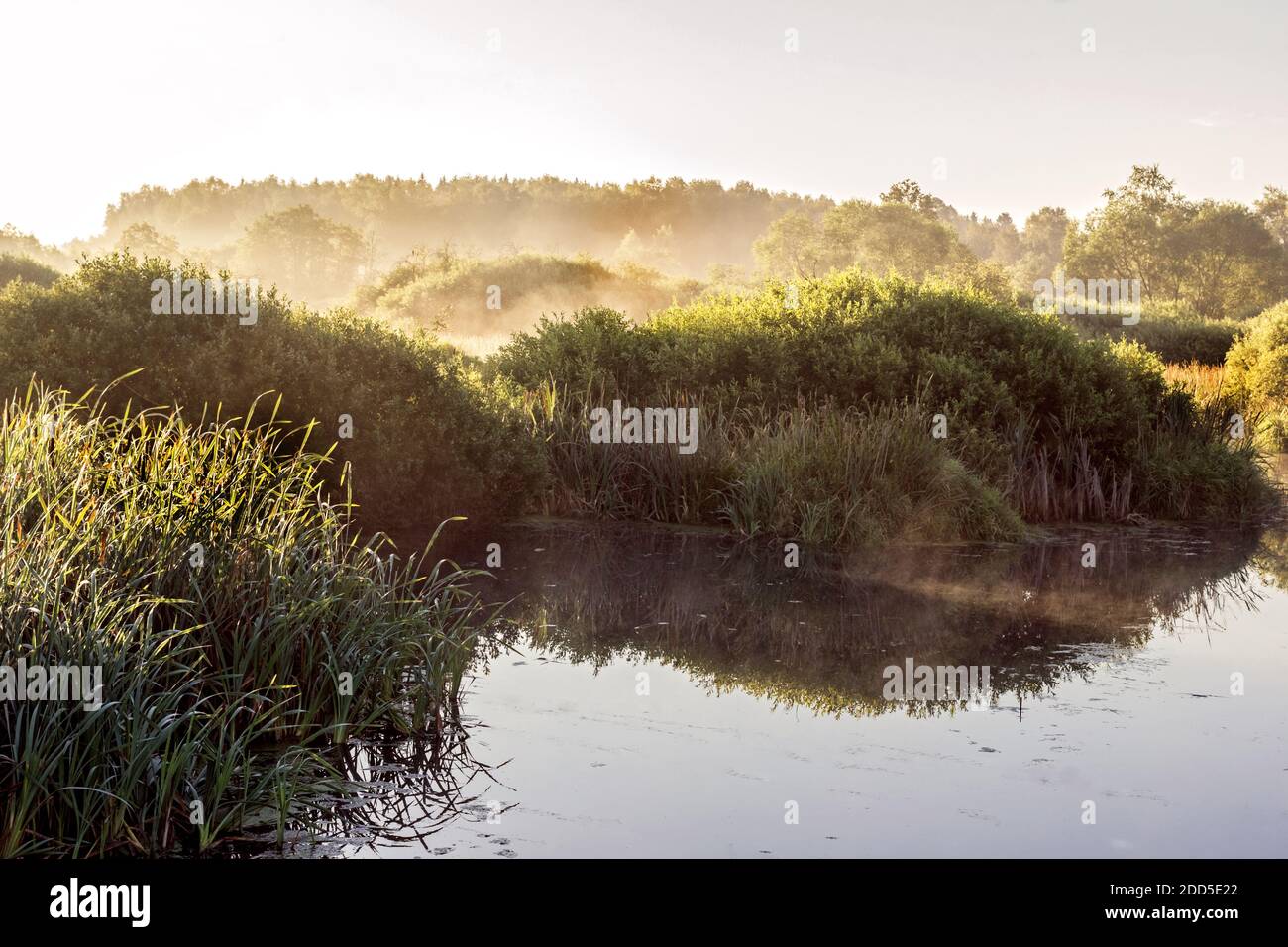 Steam over water on sunny happy summer morning Stock Photo - Alamy
