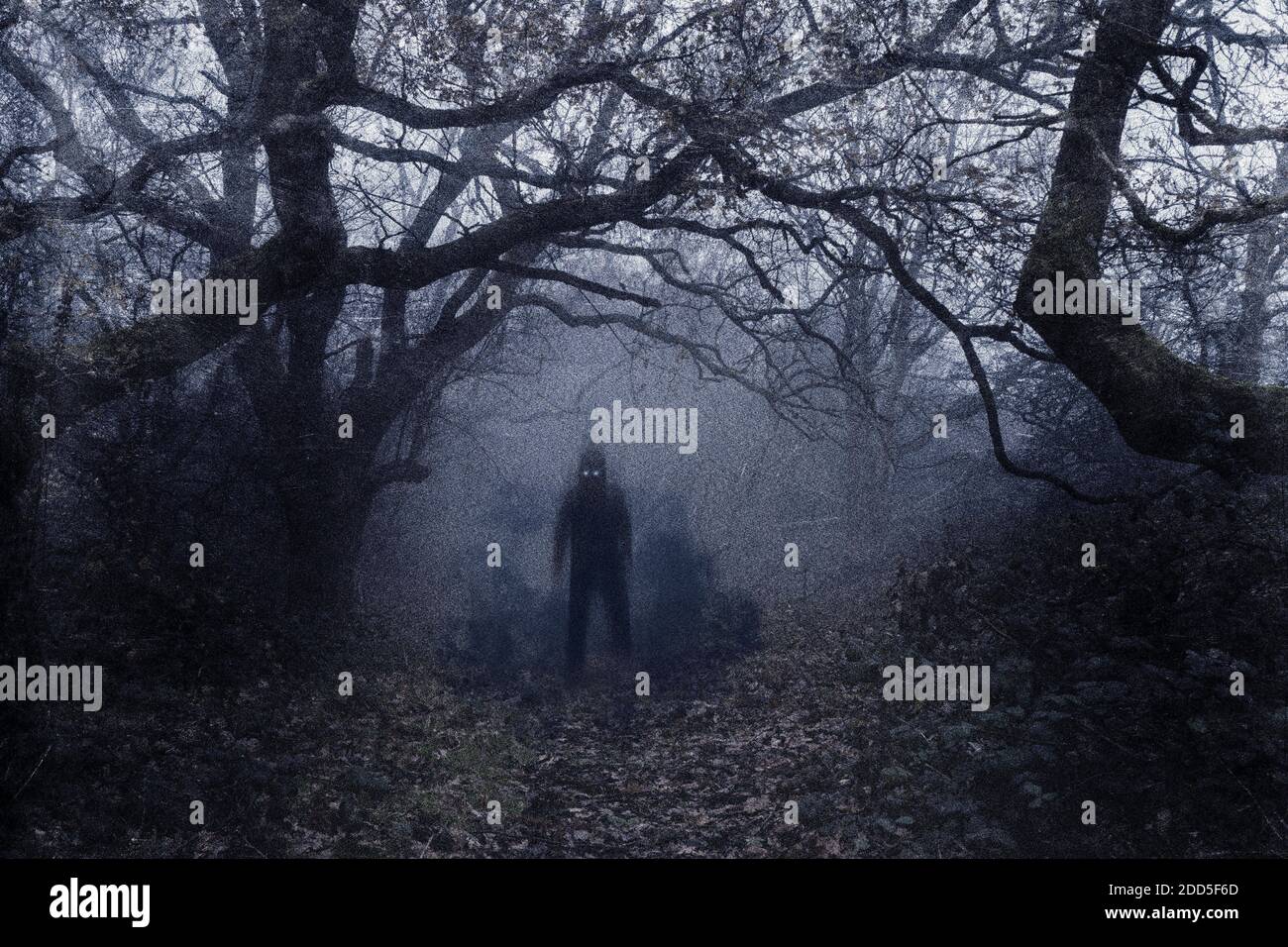 Spooky Forest Eyes High Resolution Stock Photography and Images - Alamy