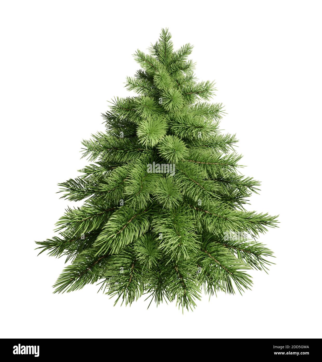 3D render fluffy green Christmas tree isolated white. photorealistic ...