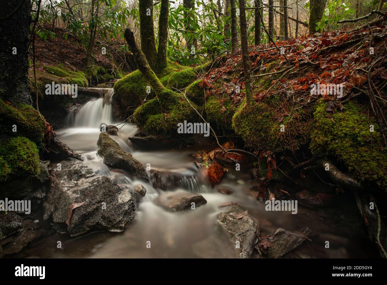 A mountain stream flows through the Blue Ridge mountains of North ...