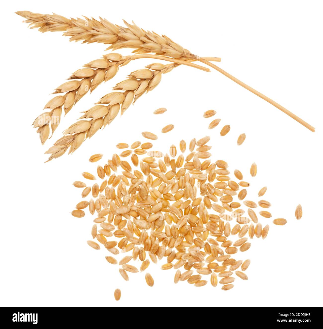 Wheat ears and grain on white background Stock Photo - Alamy