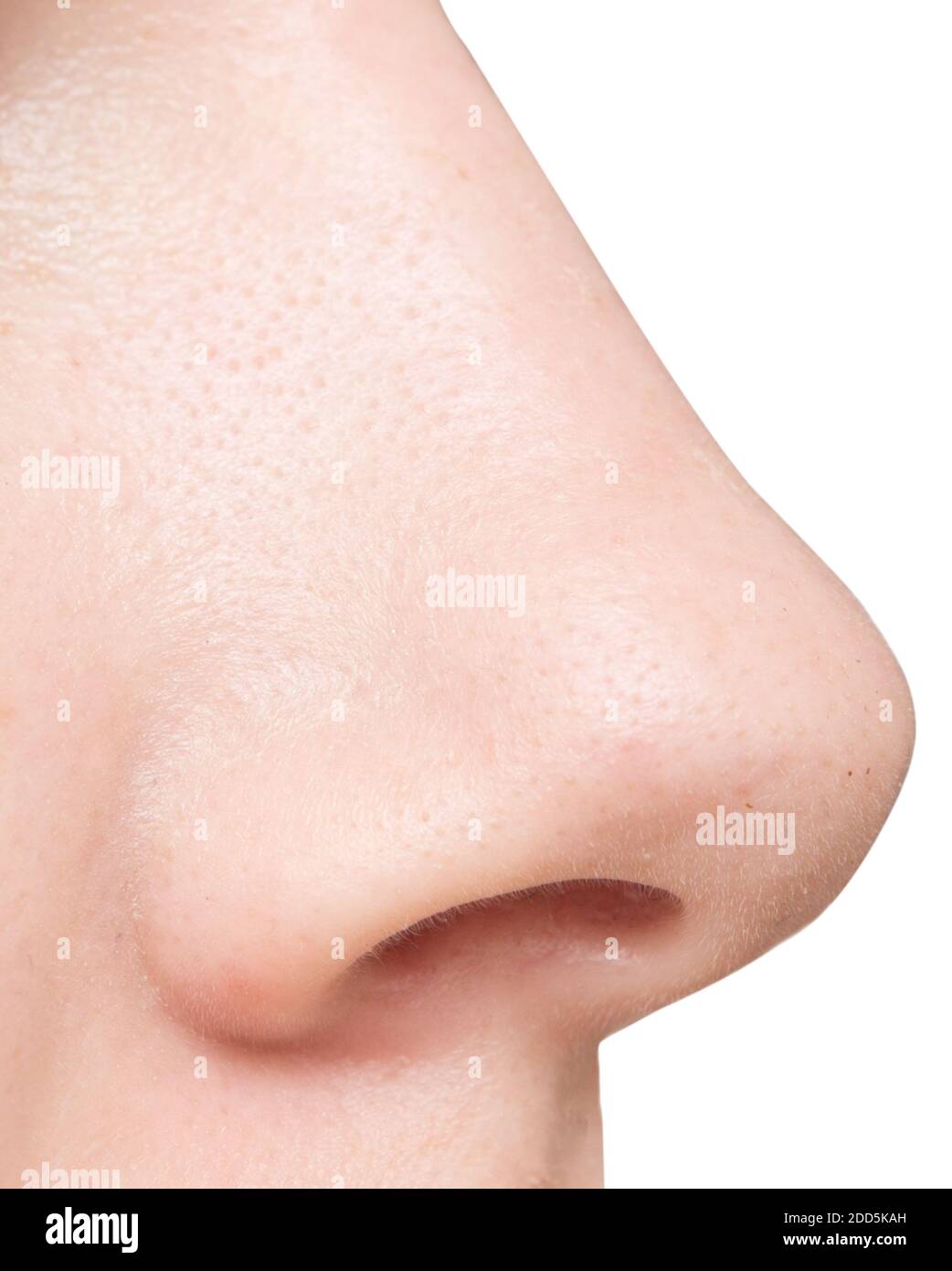 Nose isolated on white background, macro Stock Photo - Alamy
