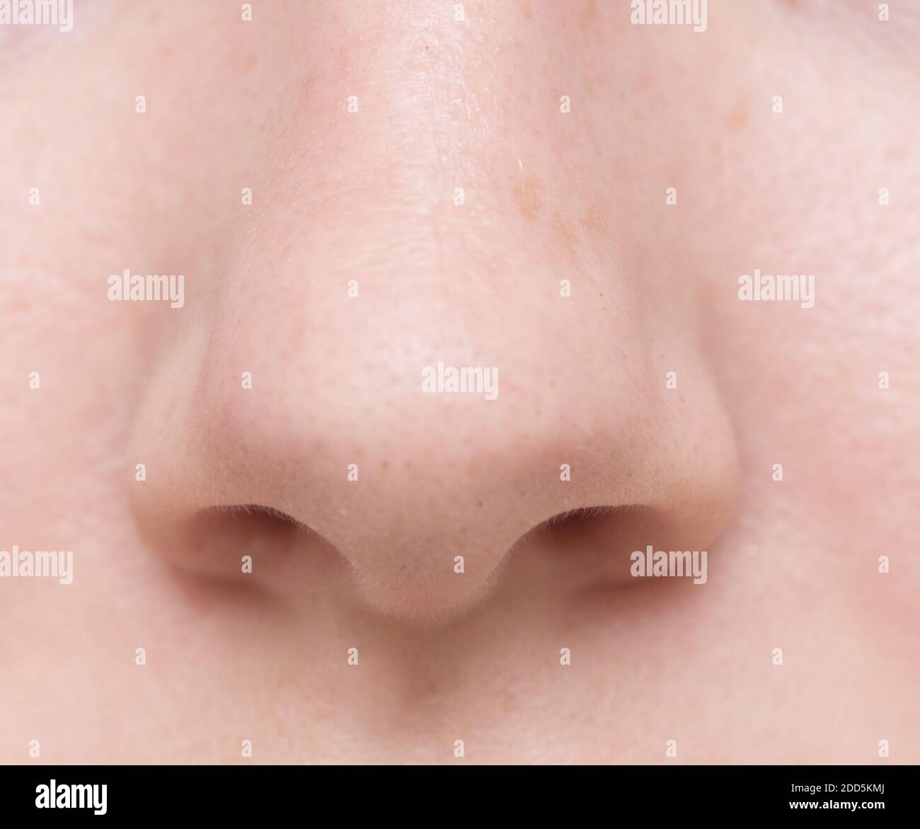 Human nostril close up hi-res stock photography and images - Alamy