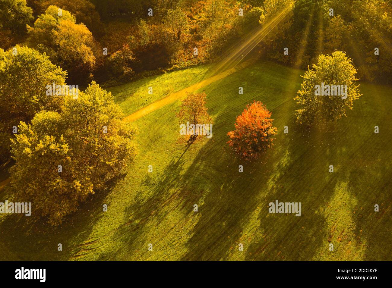 Aerial view of autumn trees in park, colorful autumn theme Stock Photo ...