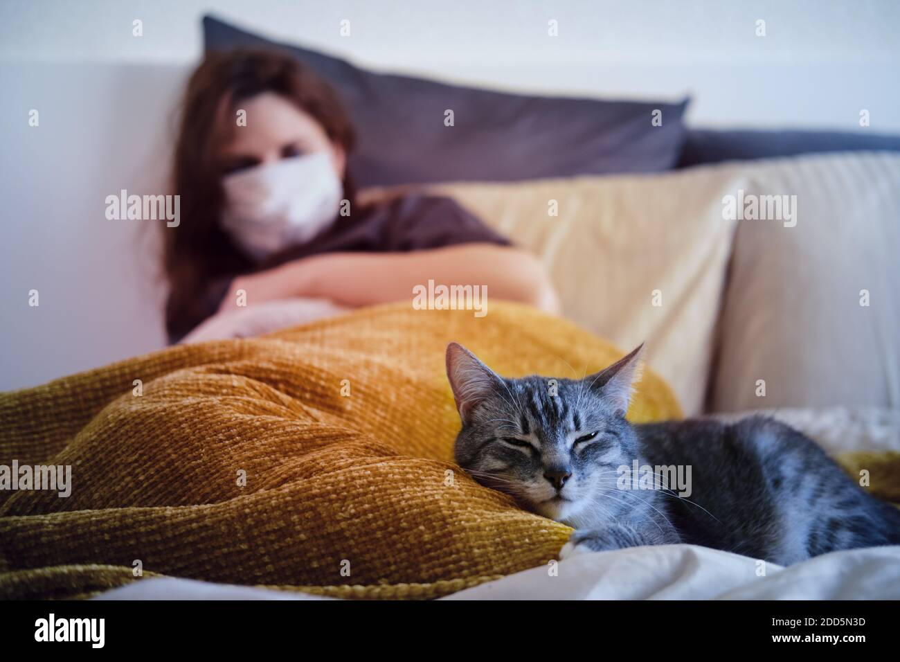 Black cat wearing mask hi-res stock photography and images - Alamy