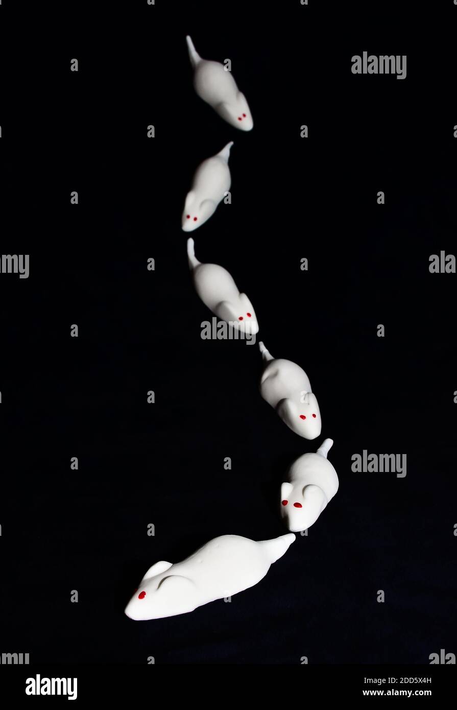 Sweet white mice from marschmallow, foamy sugar, flat layed in a line ...