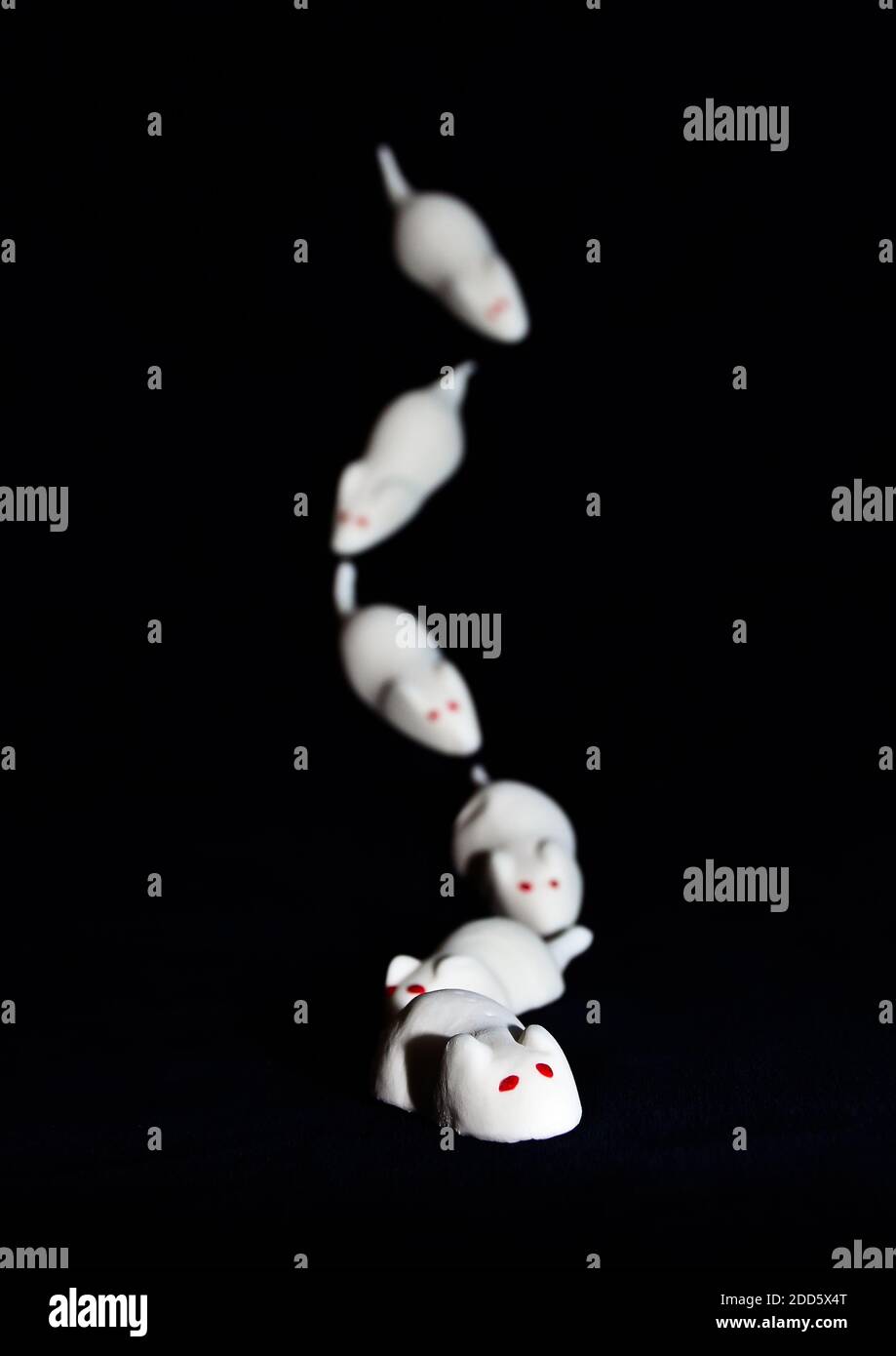Sweet white mice from marschmallow, foamy sugar, flat layed in a line ...