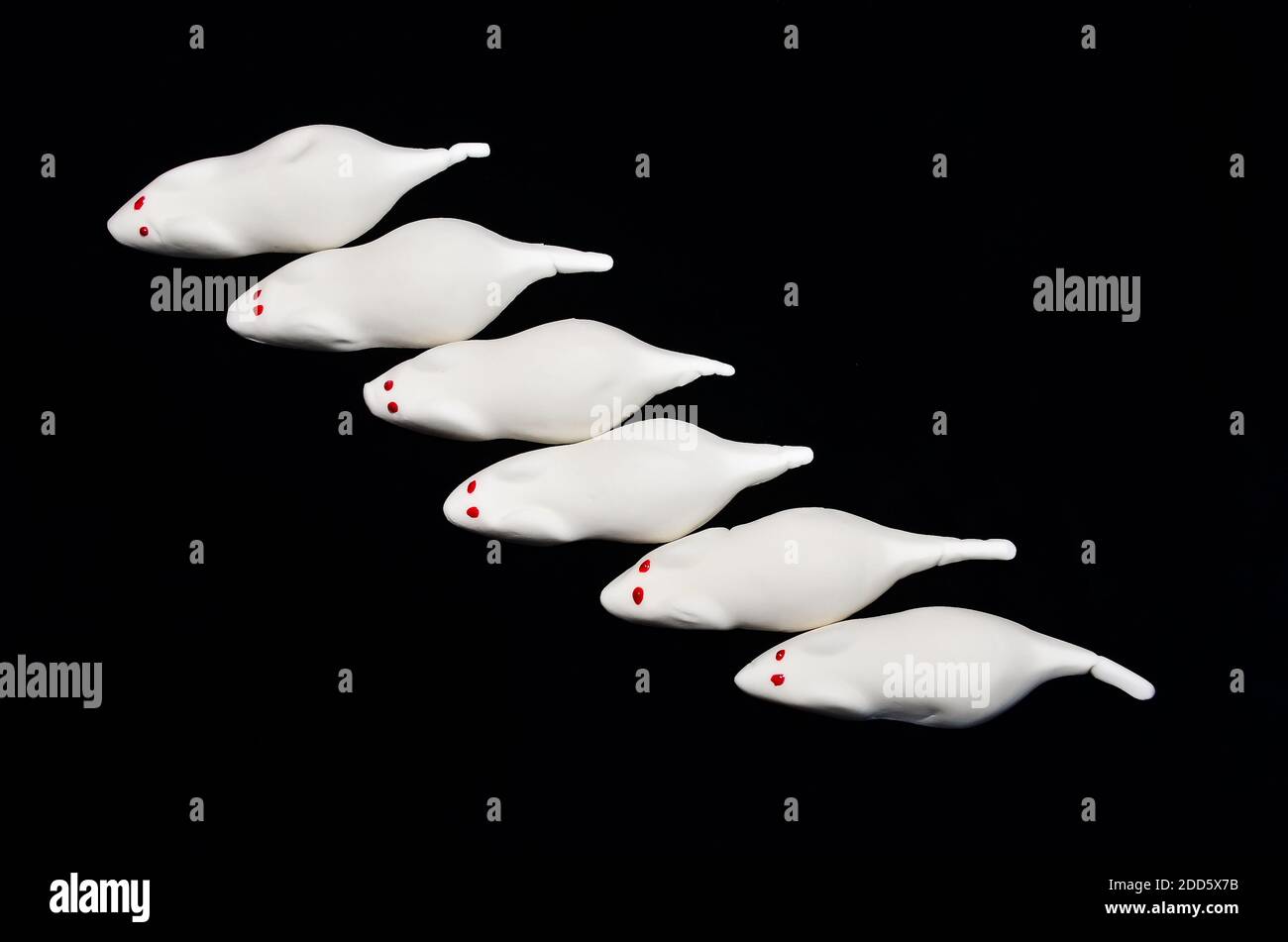 Sweet white mice from marschmallow, foamy sugar, flat layed in a line ...