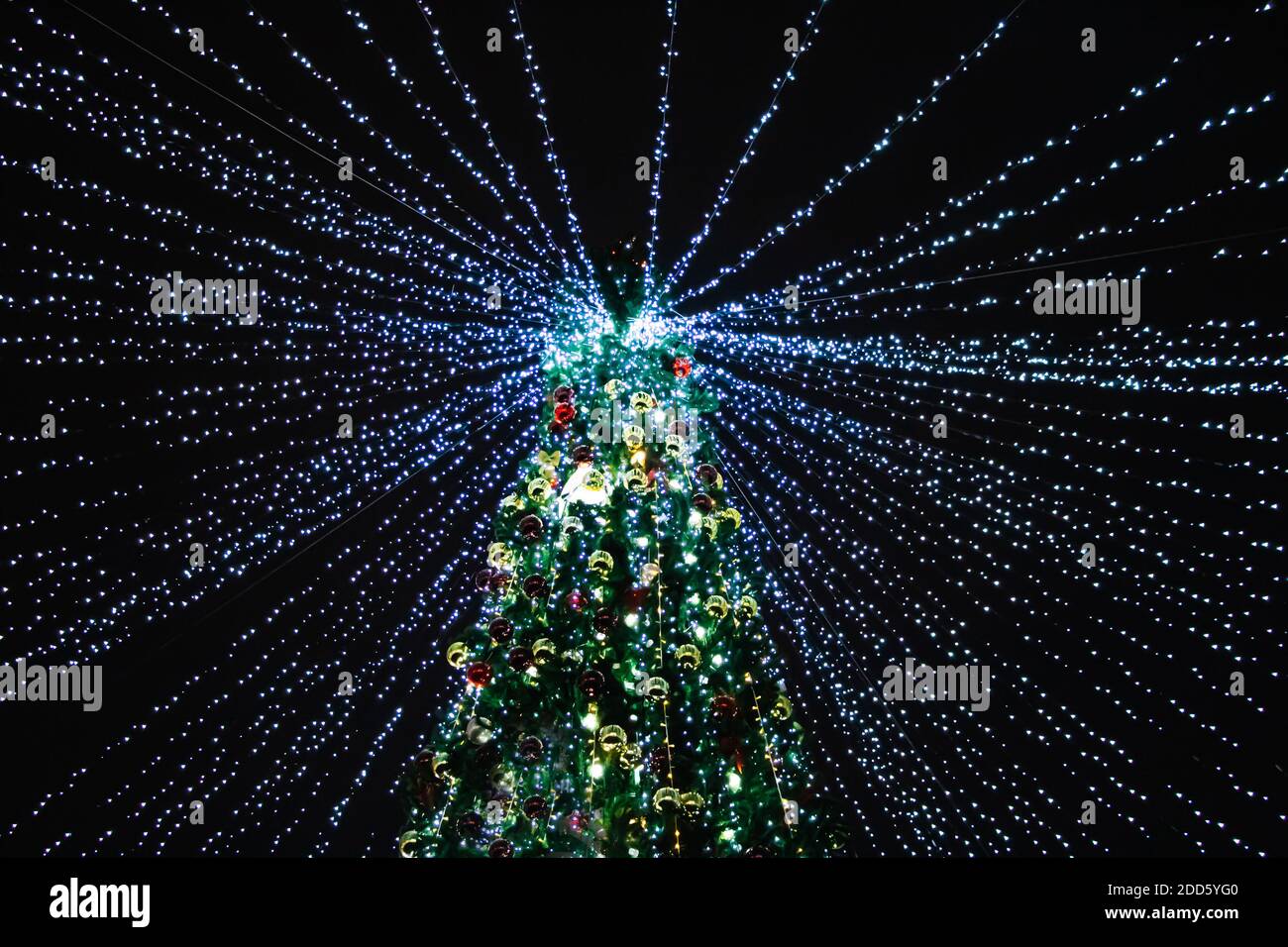 Bottom view of a Christmas tree with beautiful lights. New Year ...