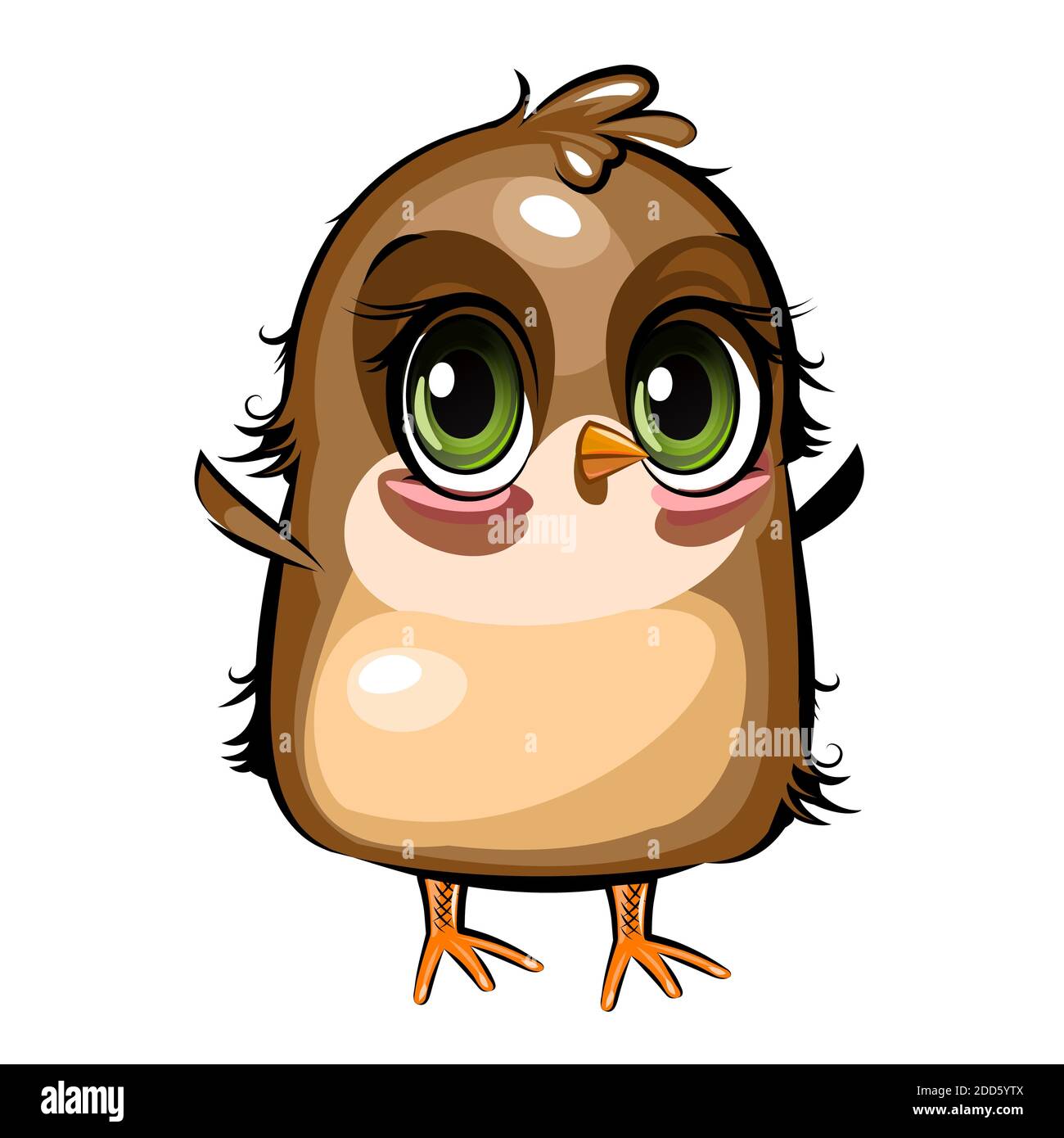 Funny Baby Bird Pictures