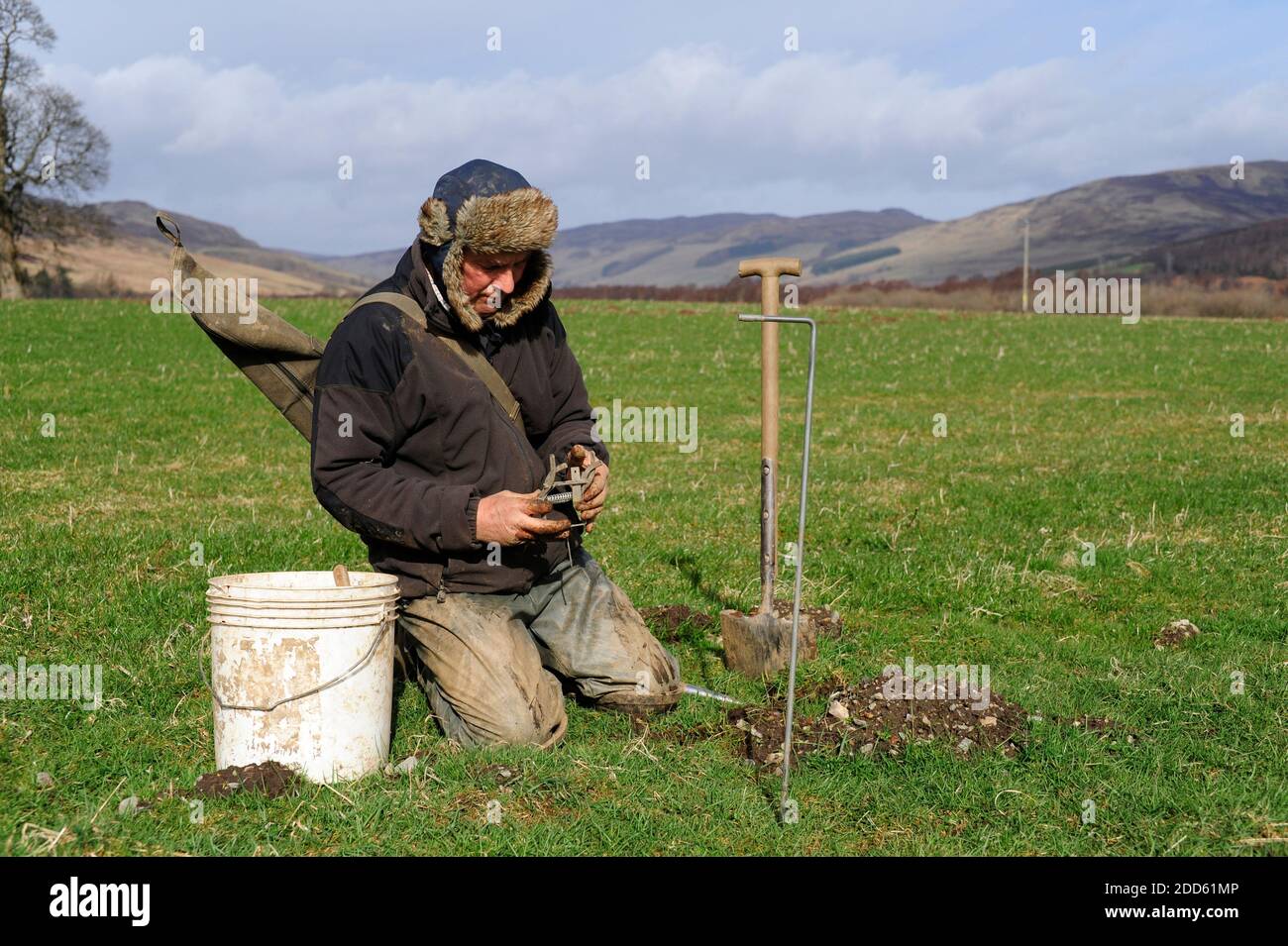 Mole digging burrow hi-res stock photography and images - Alamy