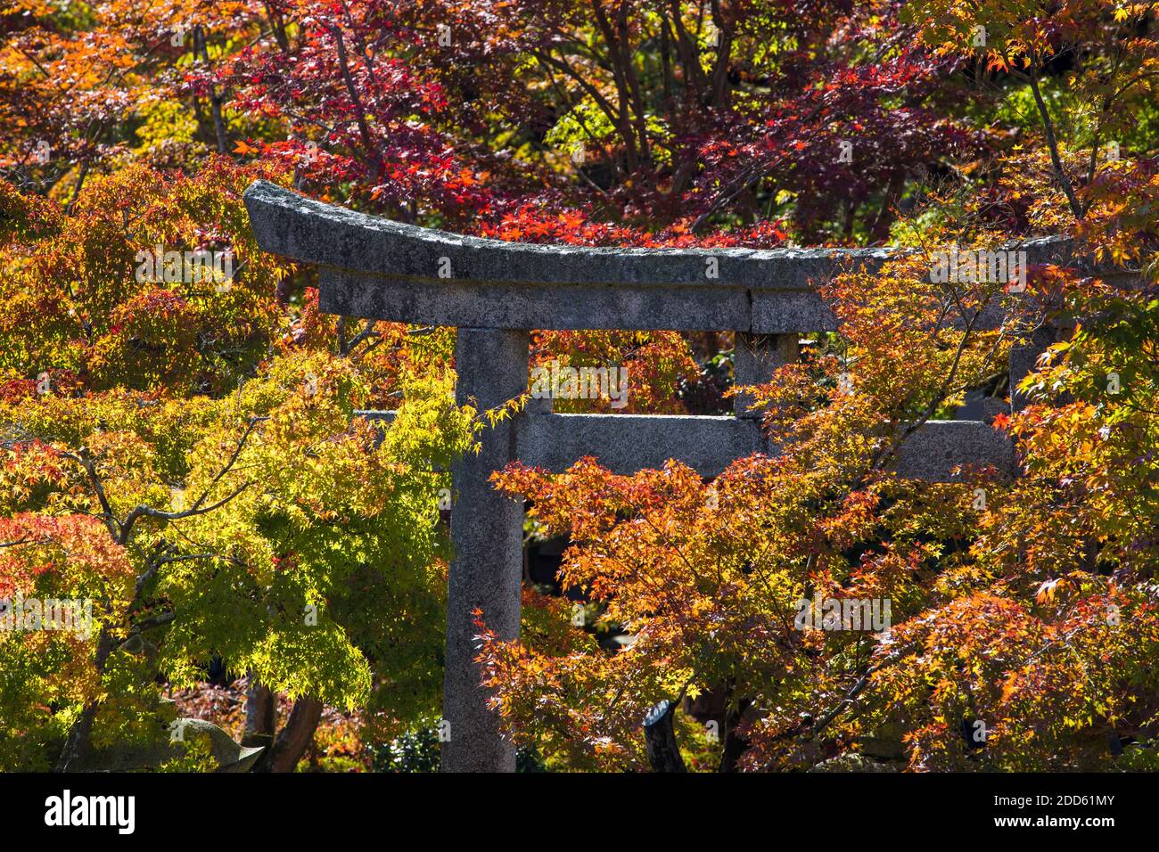 Kyoto eikando temple hi-res stock photography and images - Alamy
