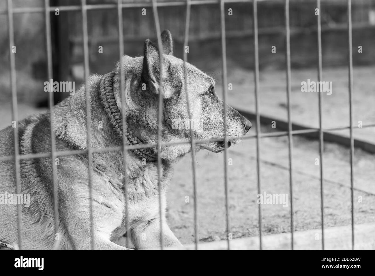 Photo of homeless shelter hi-res stock photography and images - Alamy