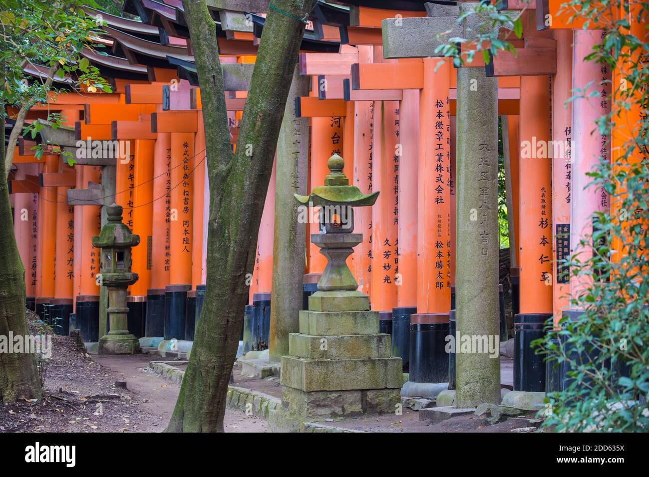 Japan, Kyoto, Fushimi Inari Shrine, Vermilion torii gates, Donated and ...
