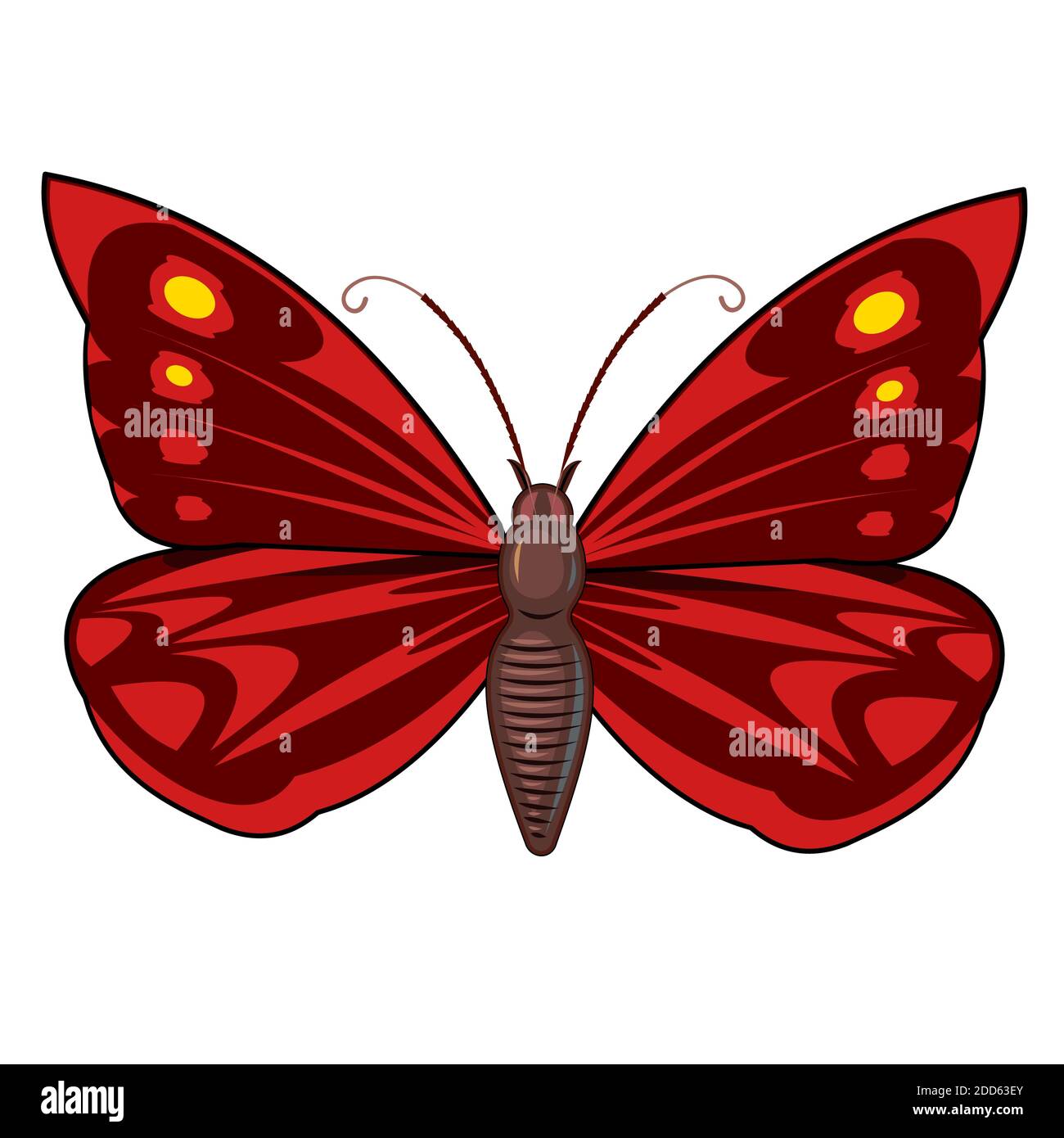 Red butterfly. Bright beautiful composition. Isolated object on white ...