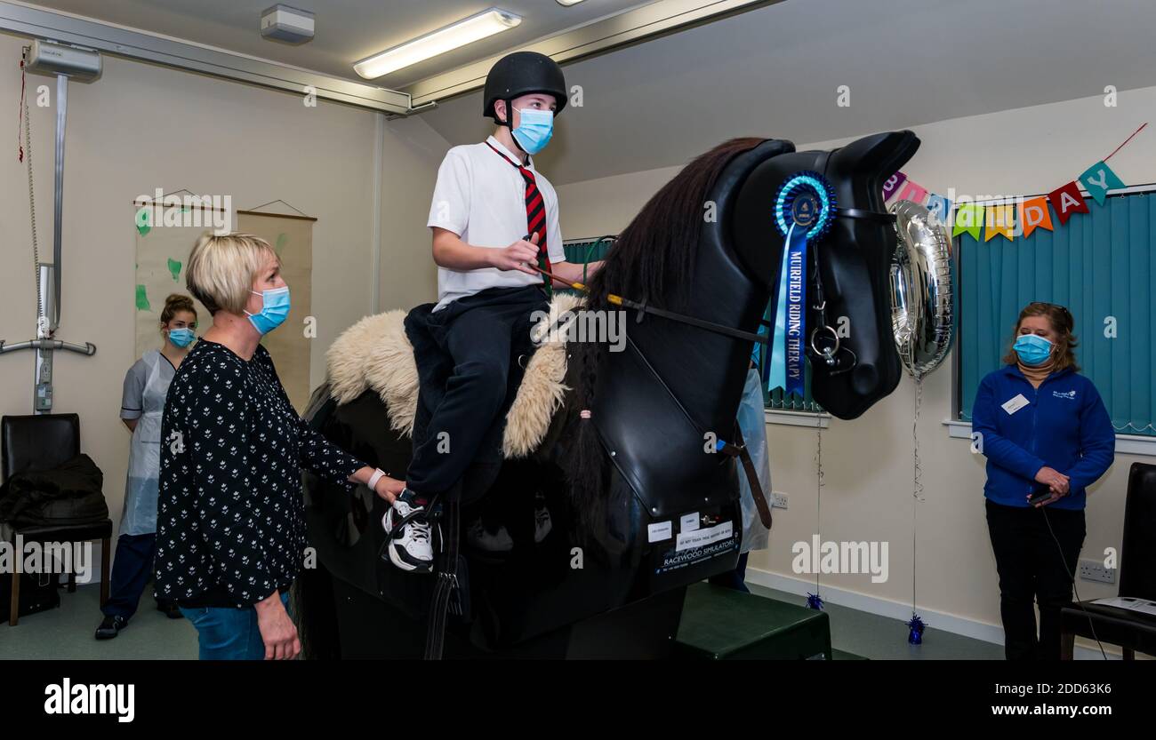 Mechanical horse hi-res stock photography and images - Alamy