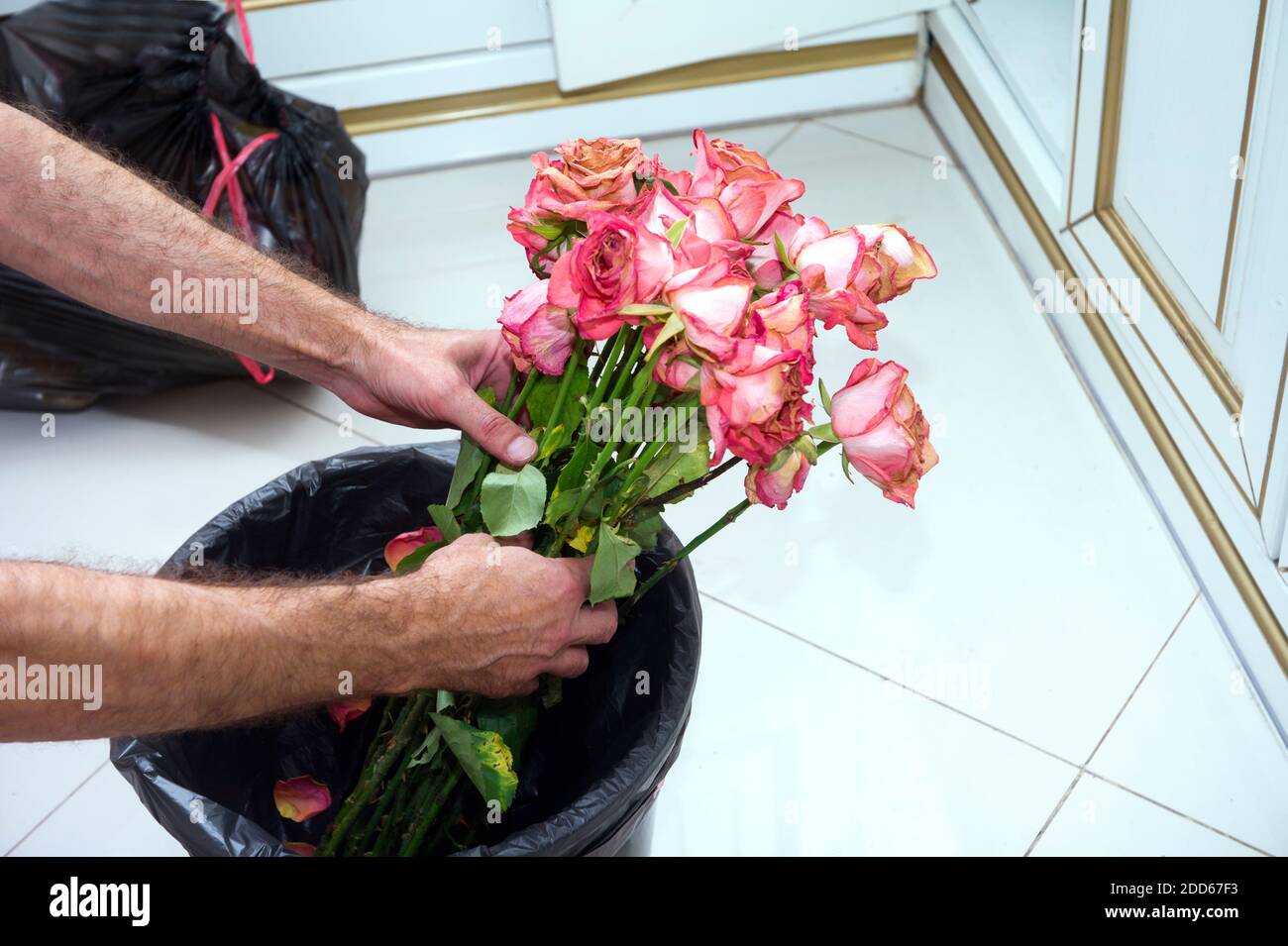 male hands throwing a rose bouquet into a garbage bin, concept of end ...