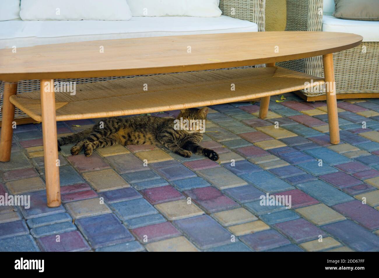 Cat hiding under table hi-res stock photography and images - Alamy