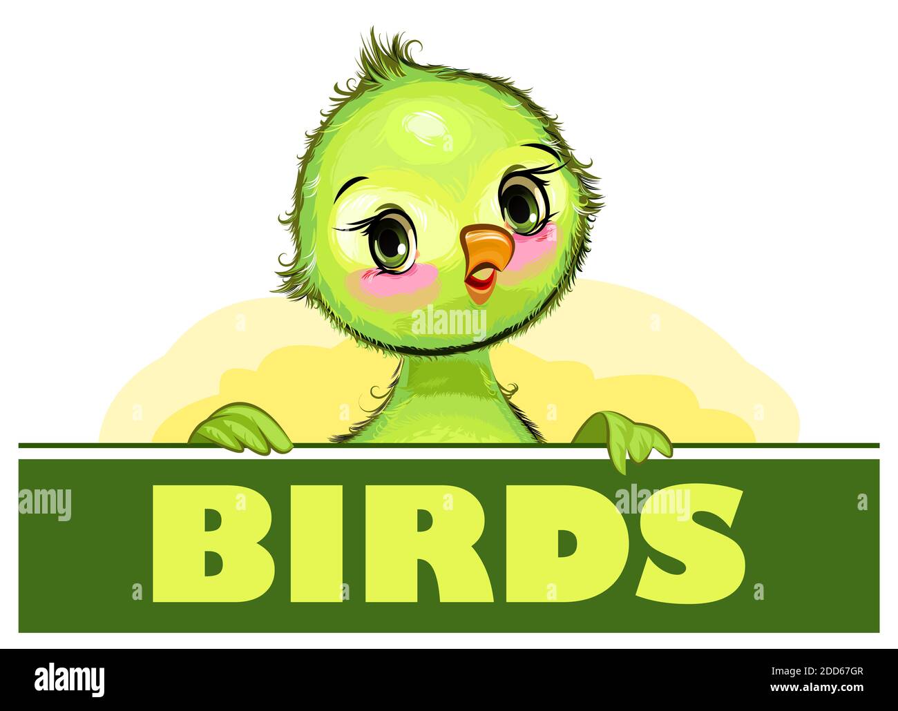 Parrot. Funny chick. Cute and funny baby bird. The isolated object on a ...