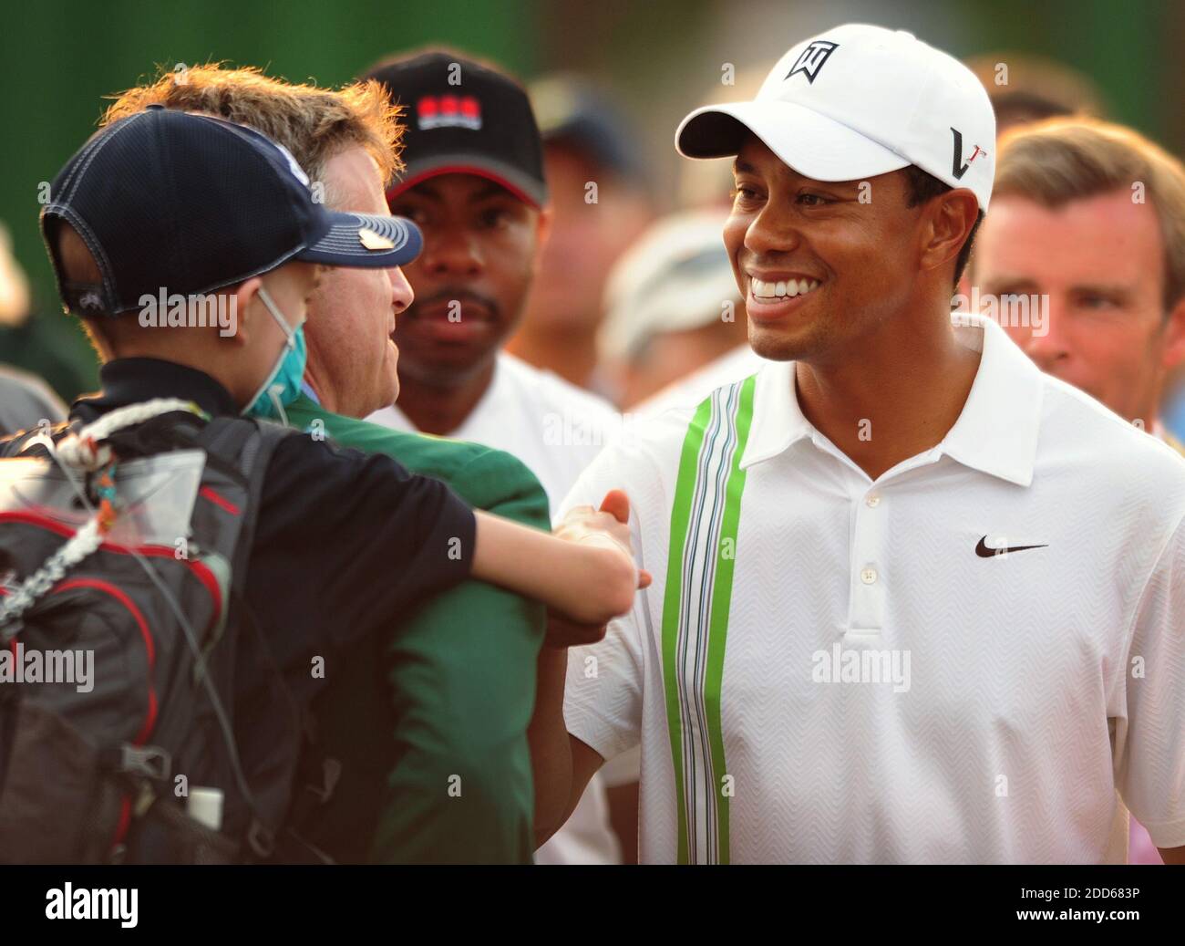 Rory tiger hi-res stock photography and images - Alamy