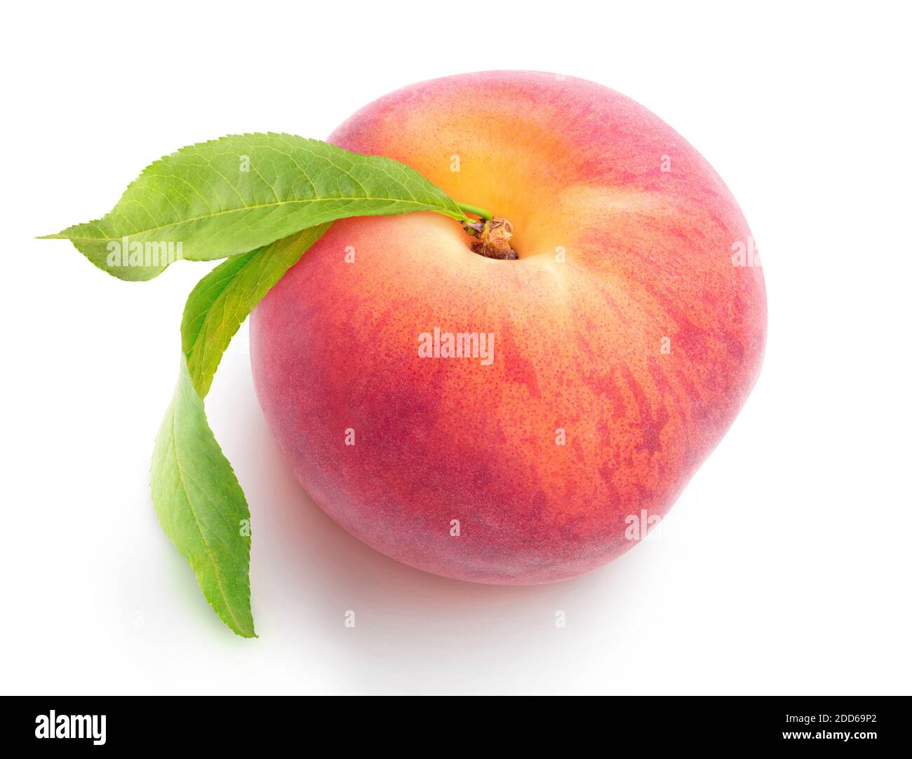 One pink peach fruit with leaves isolated on white background, top view ...