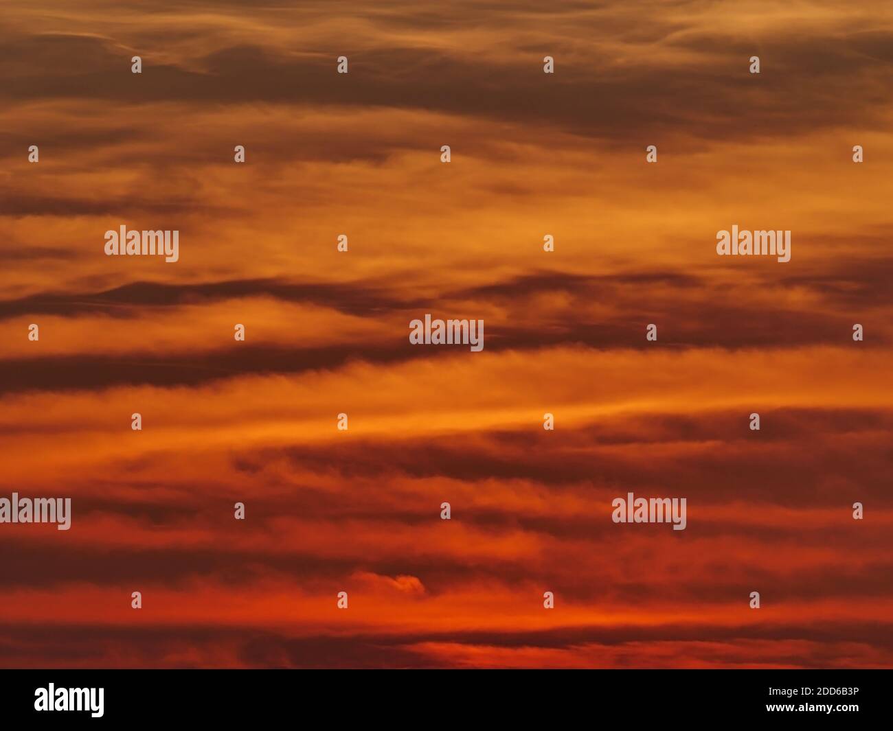 beautiful golden sunset sky landscape, natural background Stock Photo ...