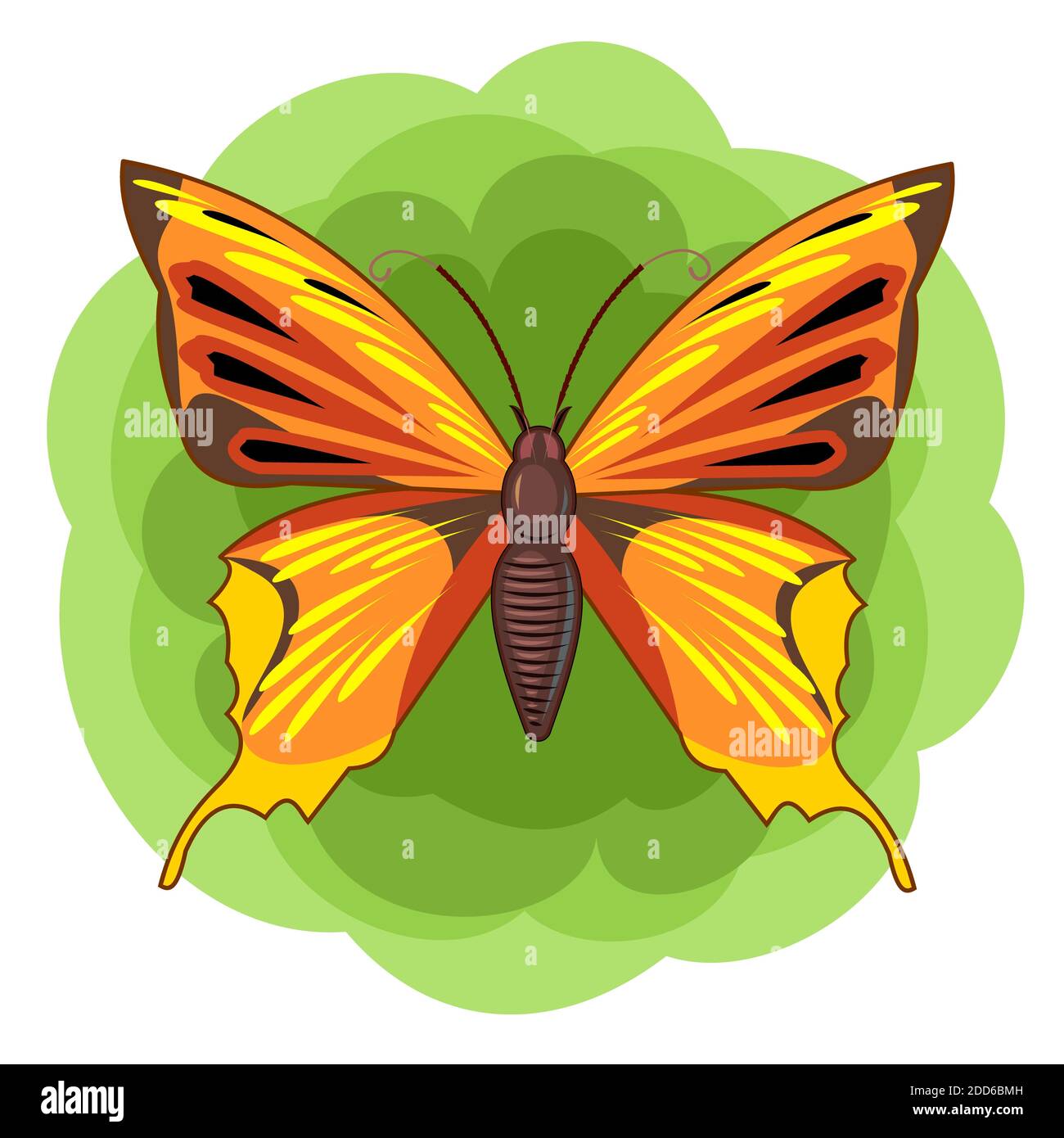 Orange Butterfly Cartoon