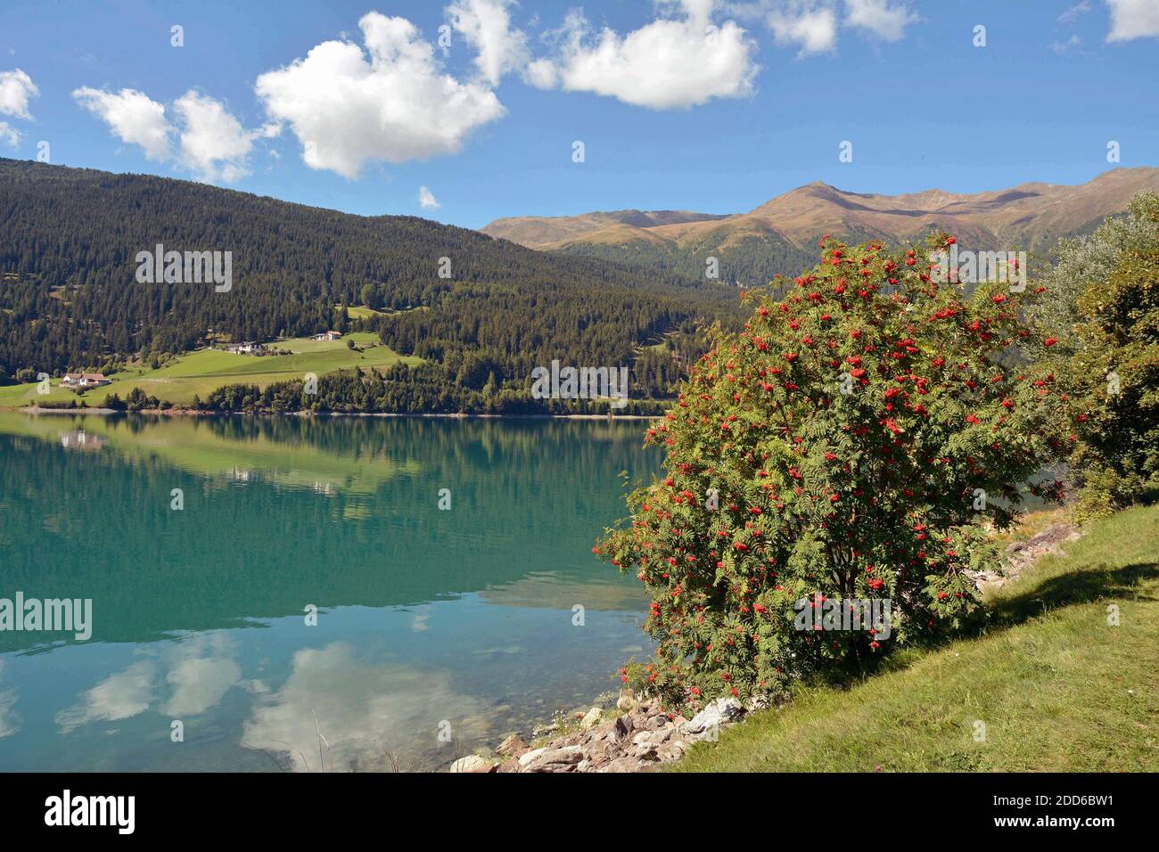 Autumn mood on the lake Reschen Stock Photo - Alamy