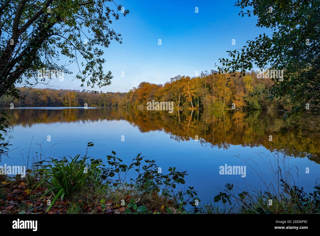Slaugham mill pond, Slaugham, West Sussex, England, Uk Stock Photo - Alamy