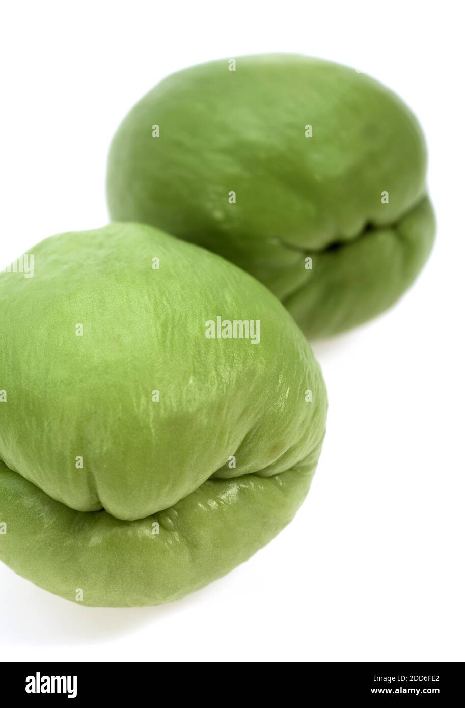 Chayote, sechium edule, Mexican Fruit against White Background Stock ...