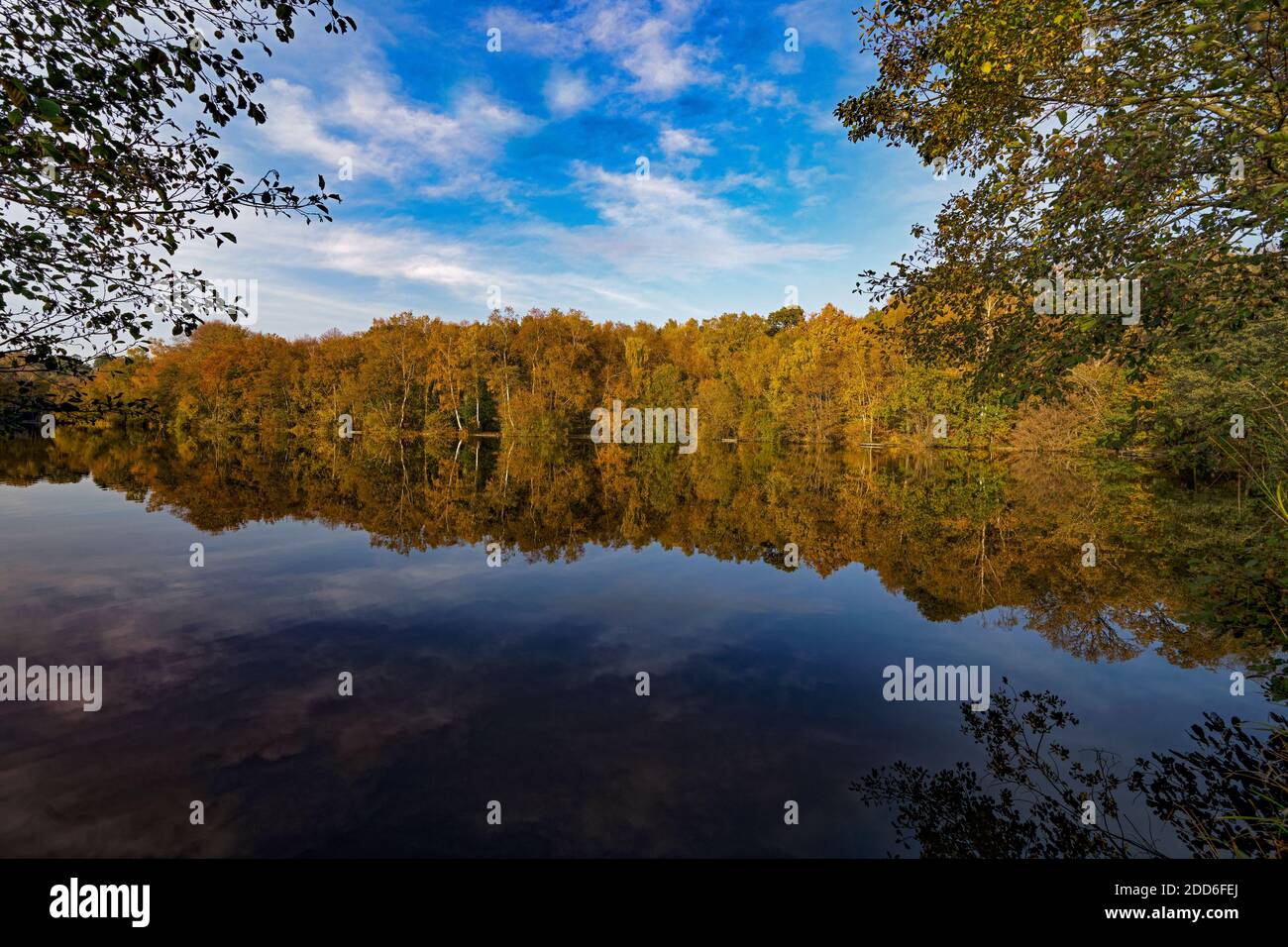 Slaugham mill pond, Slaugham, West Sussex, England, Uk Stock Photo - Alamy