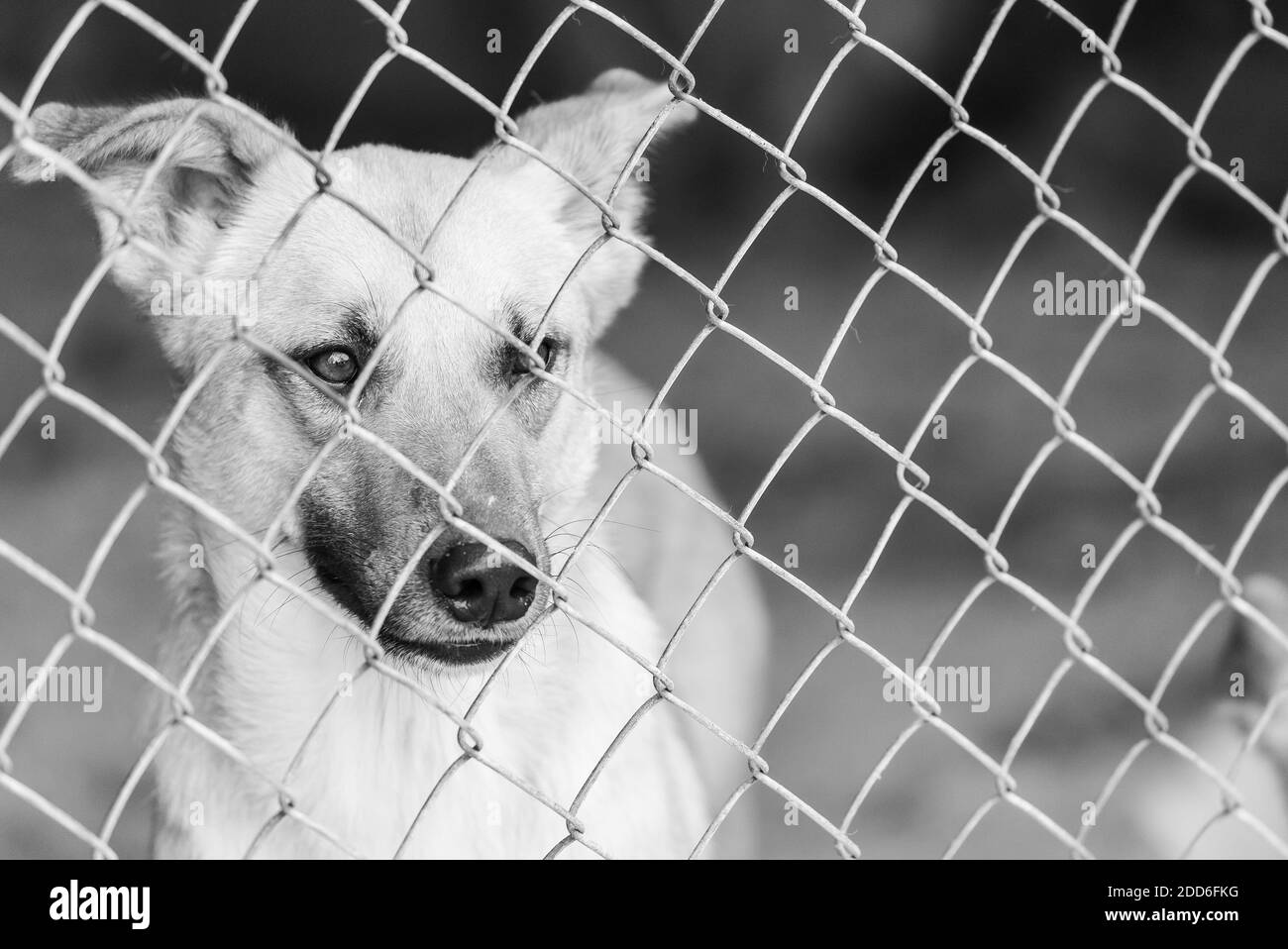 Photo shelter Black and White Stock Photos & Images - Alamy