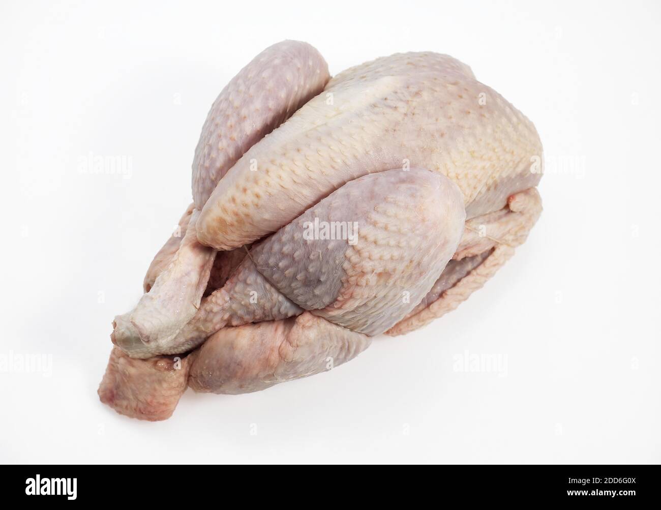 Chicken ready to be Cooked against White Background Stock Photo - Alamy