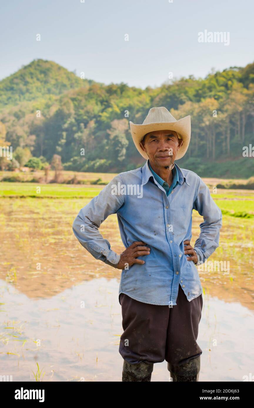 Portrait of a rice field worker from the Lahu Tribe, Chiang Rai ...