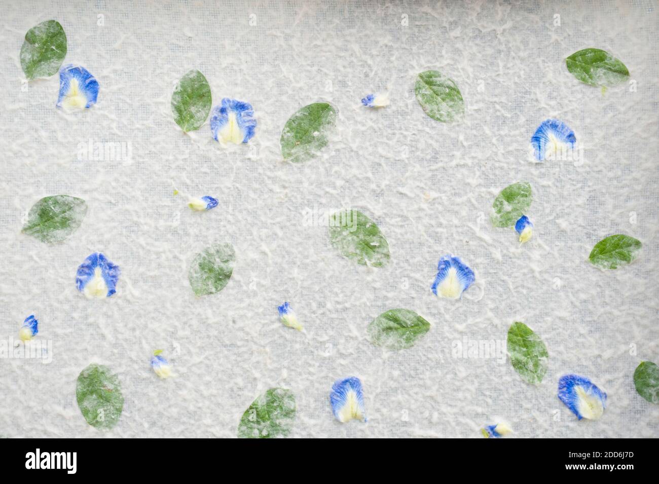 Handmade paper laos hi-res stock photography and images - Alamy
