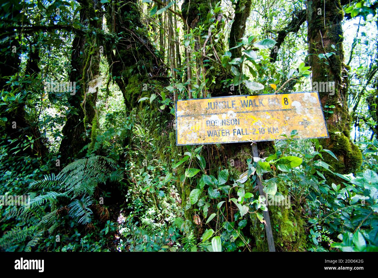 Jungle Walk 8 Signpost in Cameron Highlands, Malaysia, Southeast Asia ...
