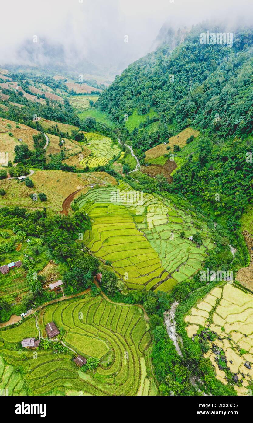 Rice Terraces in Doi inthanon national park in chiang Mai province ...