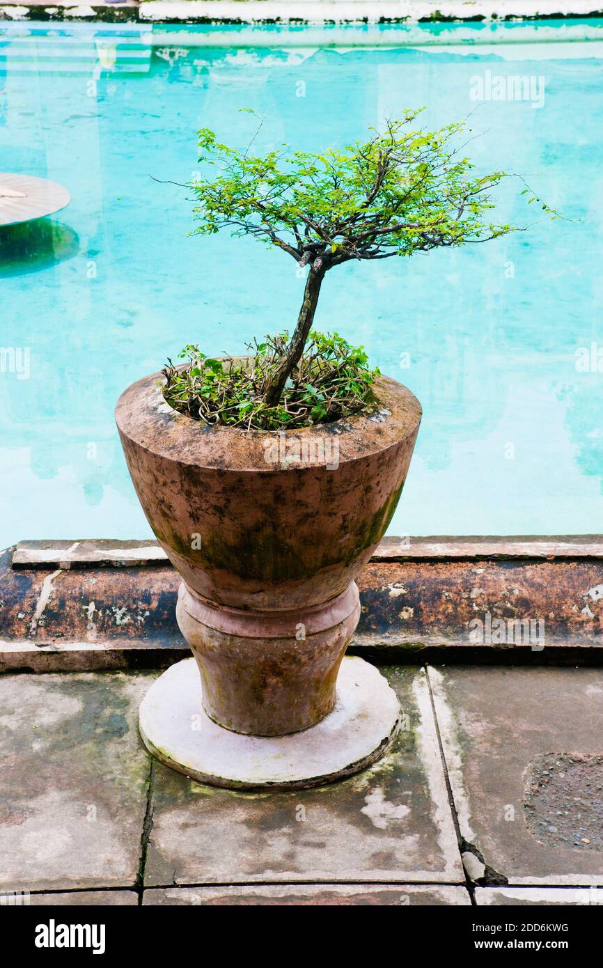 Taman Sari Water Castle, Yogyakarta, Java, Indonesia, Asia, Asia Stock ...