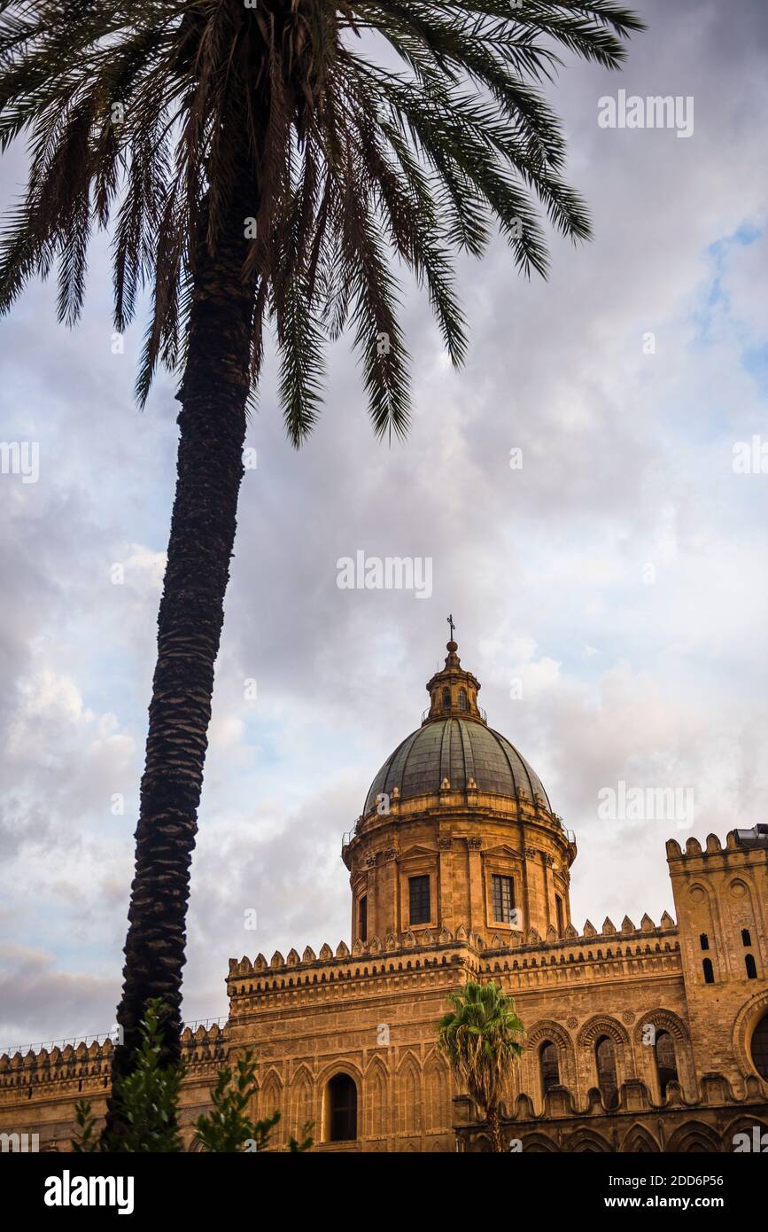 Palm tree silhouette at Palermo Cathedral (Duomo di Palermo), Sicily ...