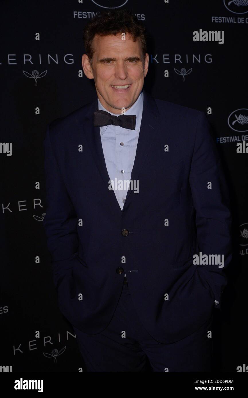 Matt Dillon attending the Kering Women In Motion Dinner during the 71st ...